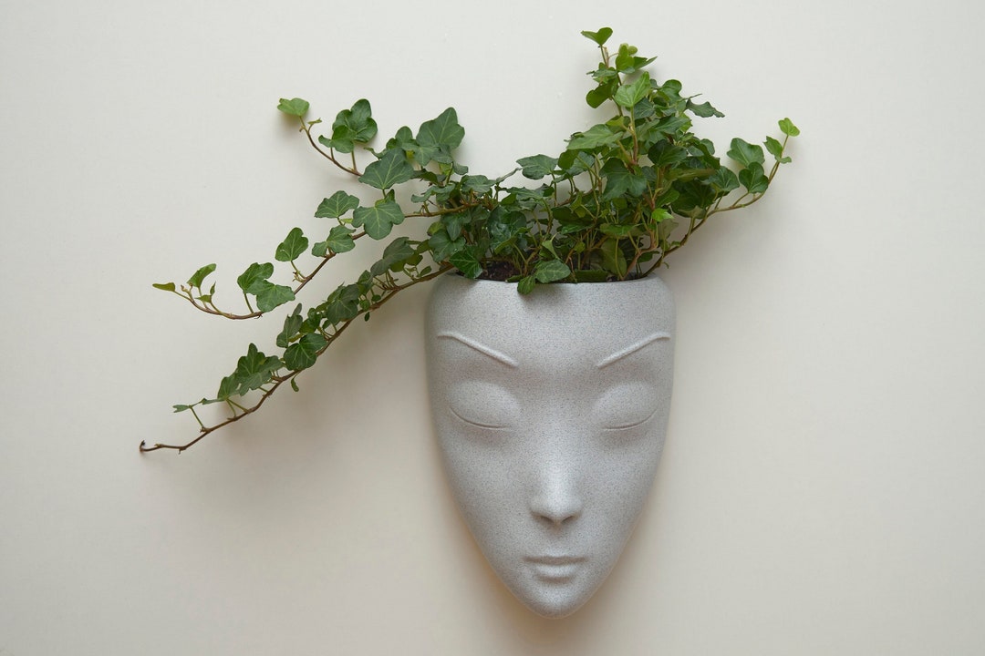 Face Planter | Face Shaped Wall Hanging Planter | Pot for Plants | Head ...