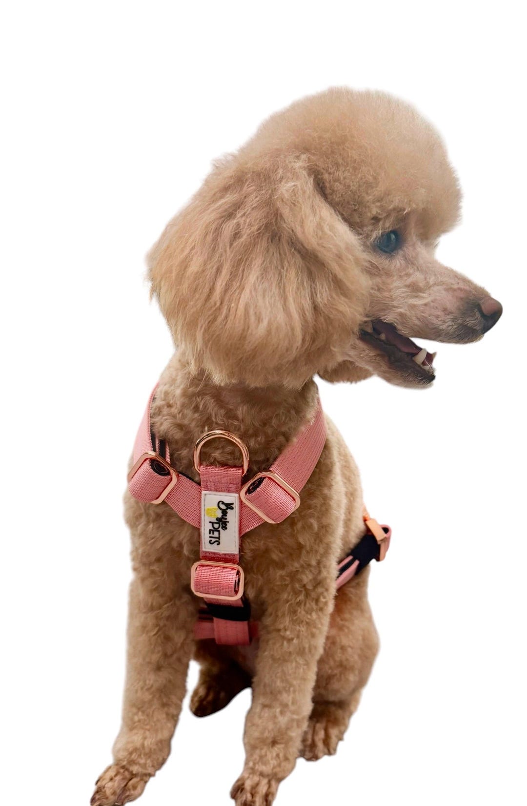 Boujee Pets-luxury Heavy Duty Dog Harness + Leash Set Xsmall & Small ...