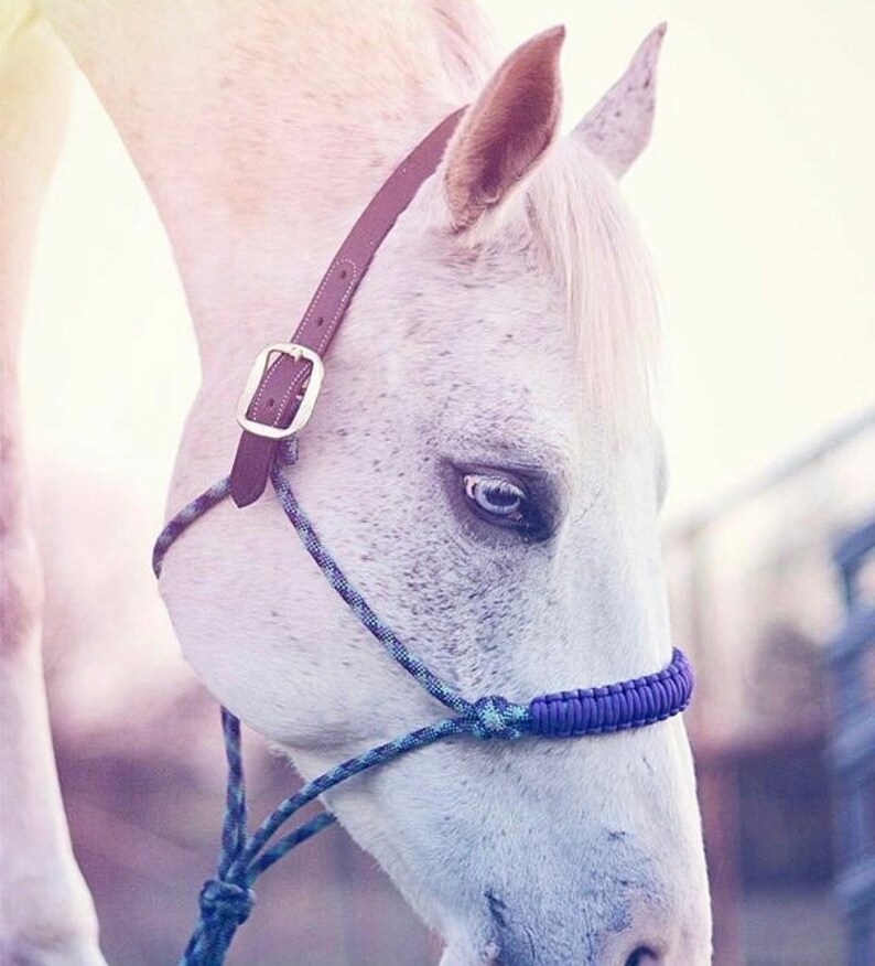 Custom Breakaway Rope Halter - Etsy