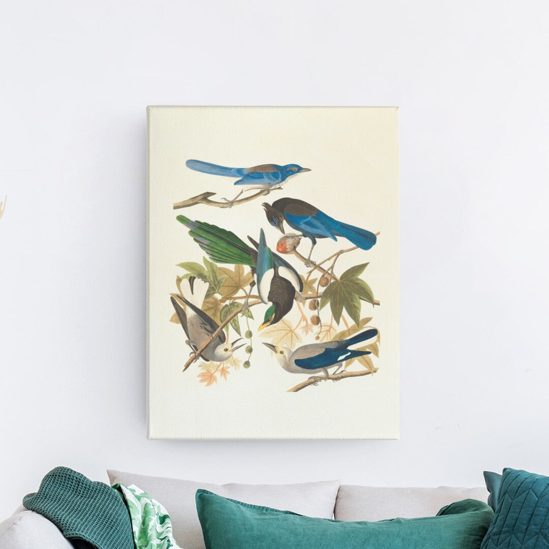 Antique Bird Illustration Wall Art, Vintage Art Print, Canvas Print ...