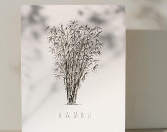 Bamboo Pencil Drawing