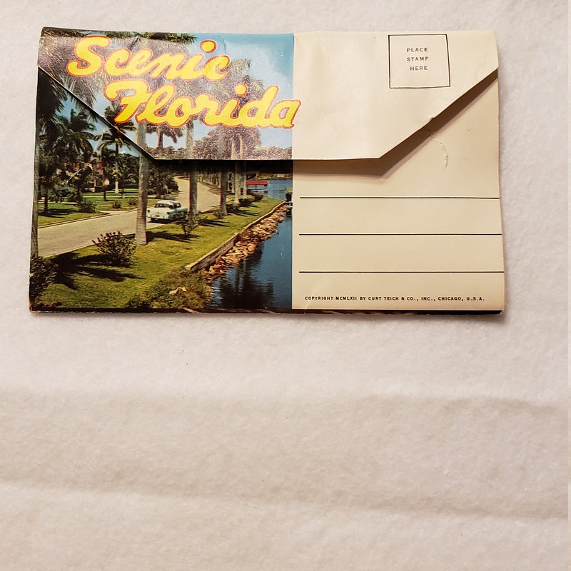 Florida Postcard - Etsy