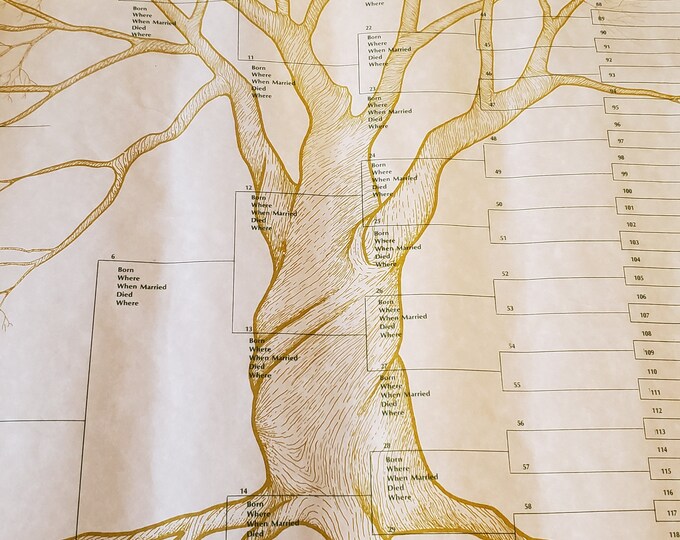 Two Parchment Paper Family Trees - Etsy