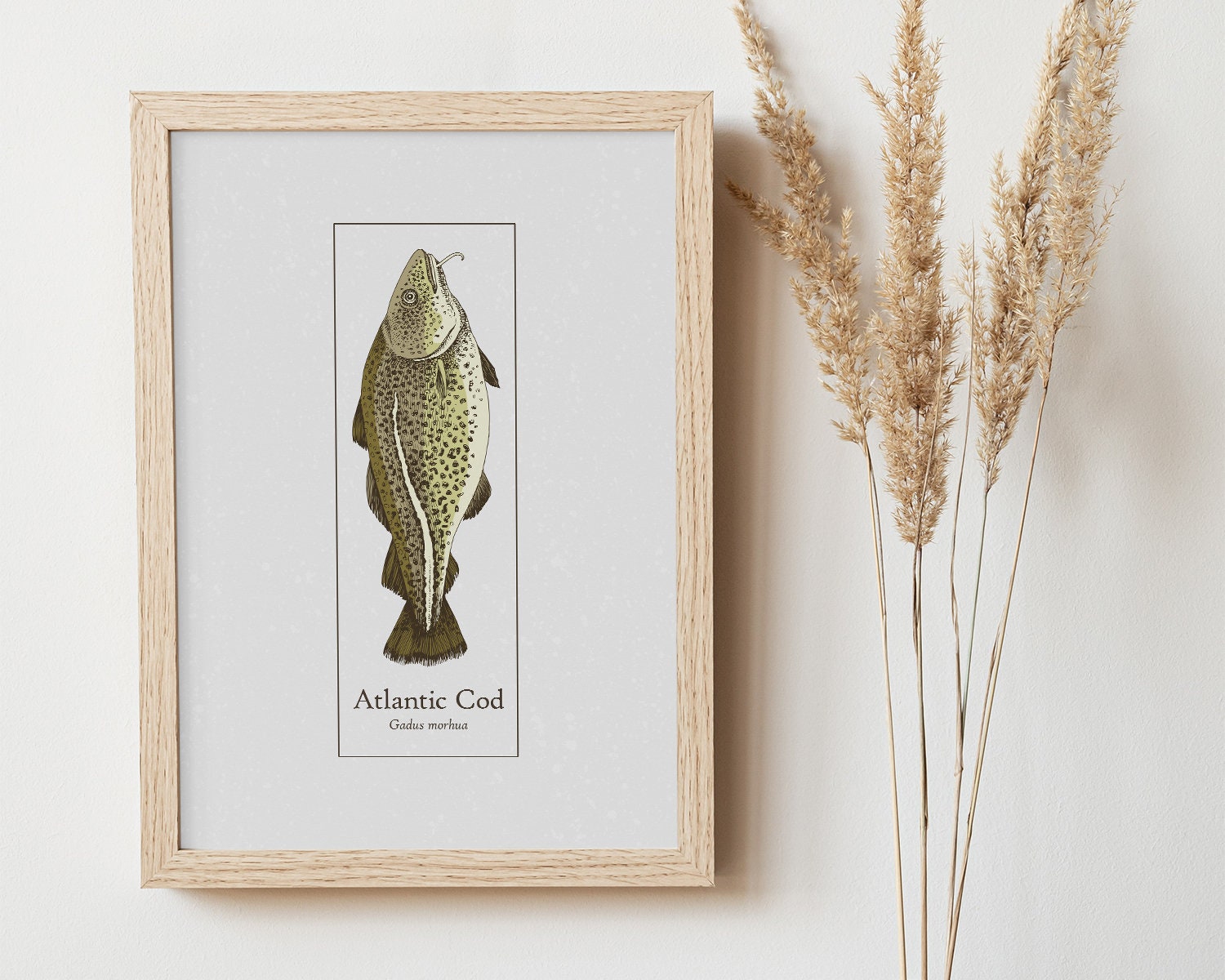 Atlantic Cod Fishing - Cod Fish Wall Art - Kitchen Wall Art - Seafood ...