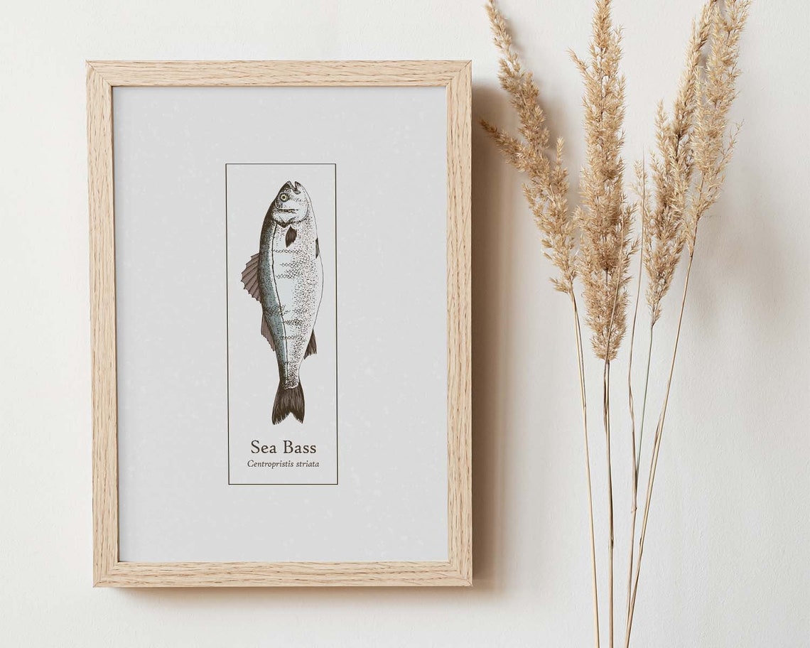 Sea Bass Print - Gone Fishing Art - Fisherman Gift - Black Sea Bass ...