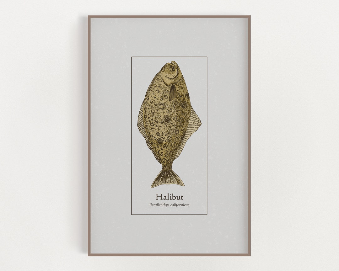 Halibut Print - Gone Fishing Art - Fisherman Gift - California Halibut ...