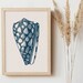 Vintage Seashell Print Coastal Nautical Beach House Decor Wall Art ...