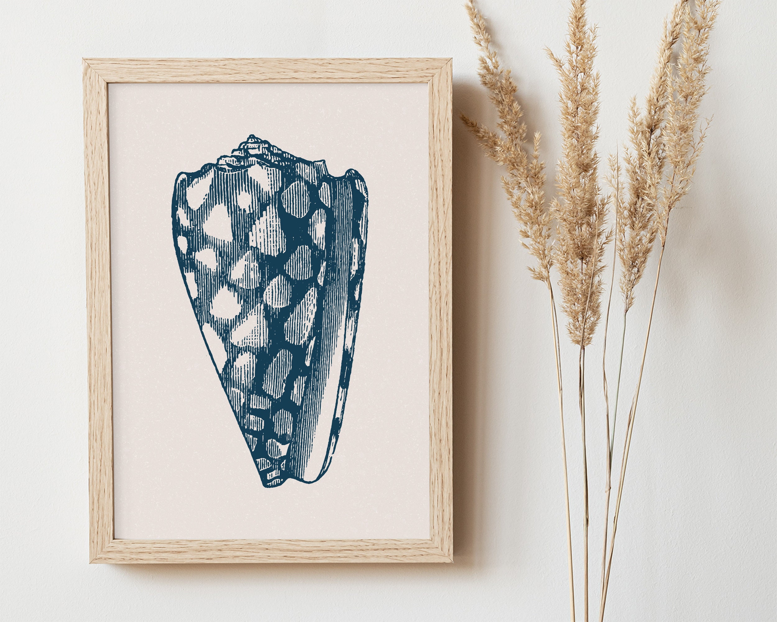 Vintage Seashell Print - Coastal Nautical - Beach House Decor - Wall ...
