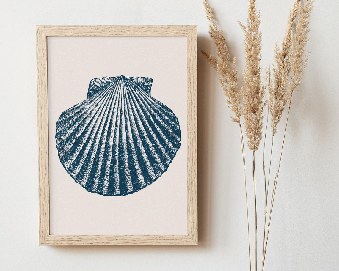 Clam Shell Print - Coastal Wall Art - Beach House Decor - Coastal ...