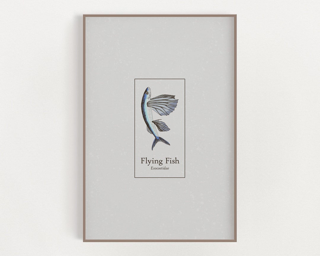 Flying Fish Print - Fishing Wall Art - Kitchen Wall Art - Seafood Decor ...