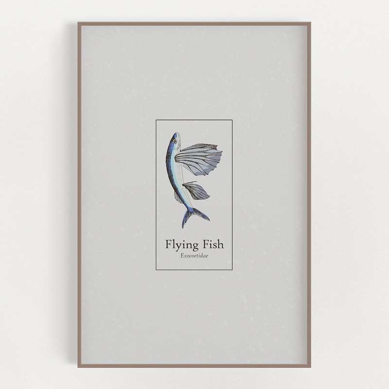 Flying Fish Print - Etsy