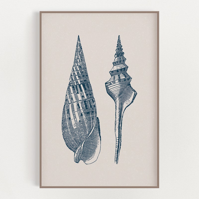 Seashell Print - Etsy