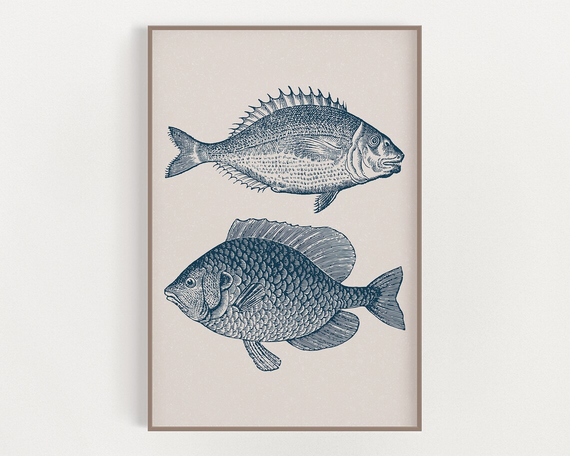 Vintage Fish Print - Fishing Wall Art - Coastal Wall Art - Beach House ...