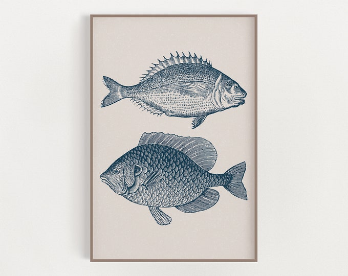 POSTER PRINT - Tuna Fish Species - Bigeye Yellowfin & Skipjack - Sport ...