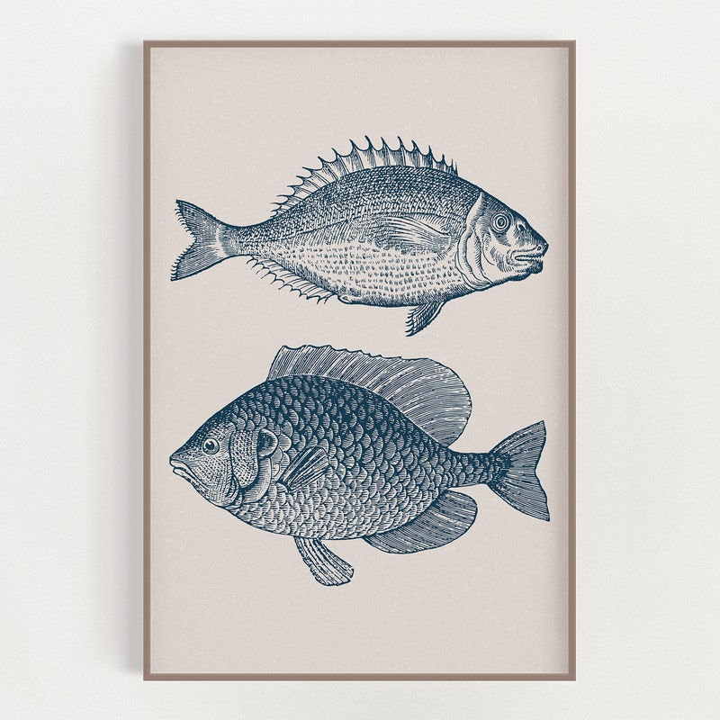 Vintage Fish - Etsy