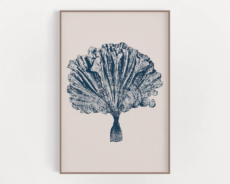 Vintage Coral Print - Coastal Wall Art - Nautical Wall Art - Beach Wall ...