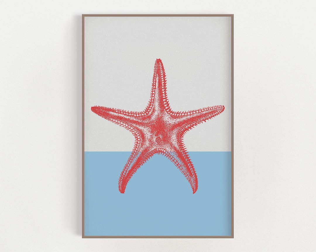 Red Starfish Print - Summer Pop - Coastal Pop Art - Blue Color Block ...