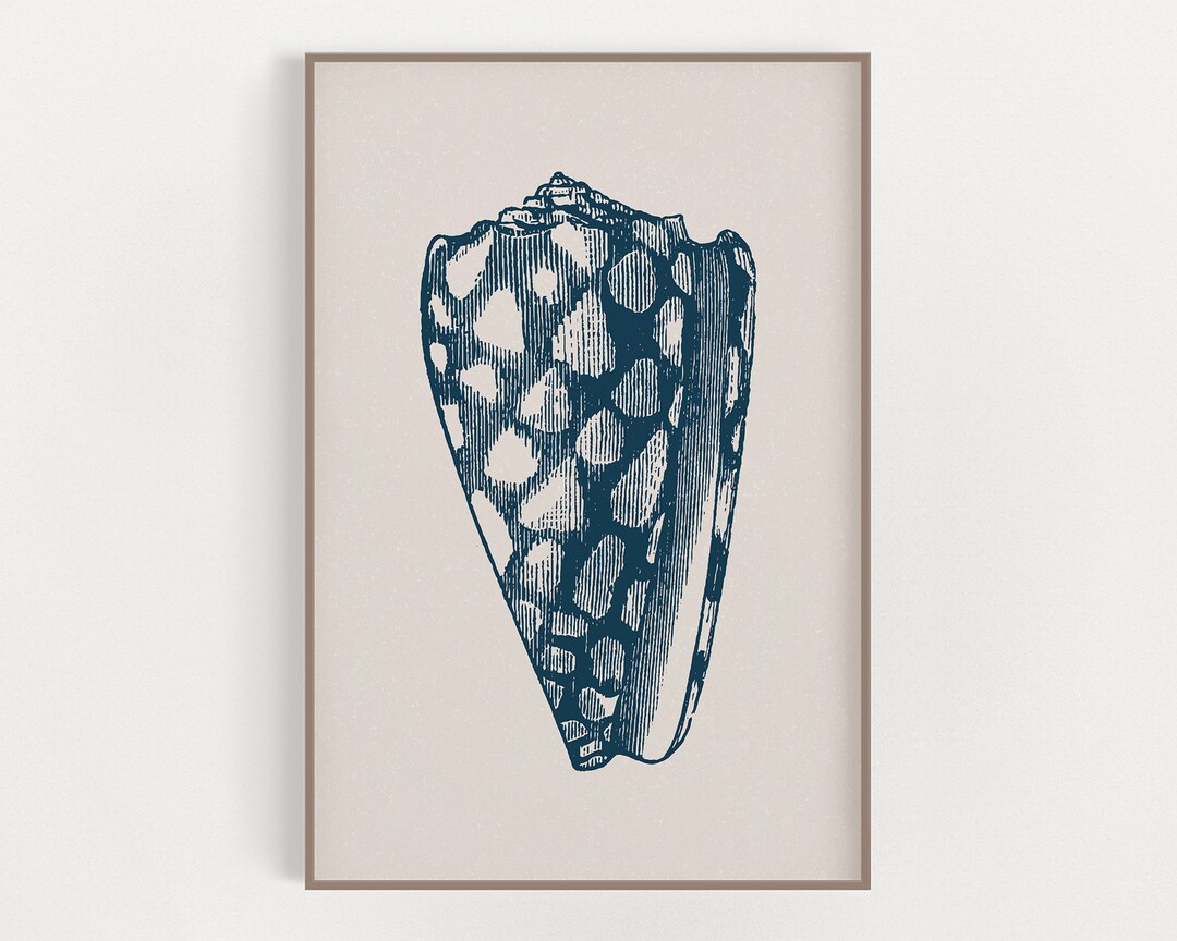 Vintage Seashell Print - Coastal Nautical - Beach House Decor - Wall ...