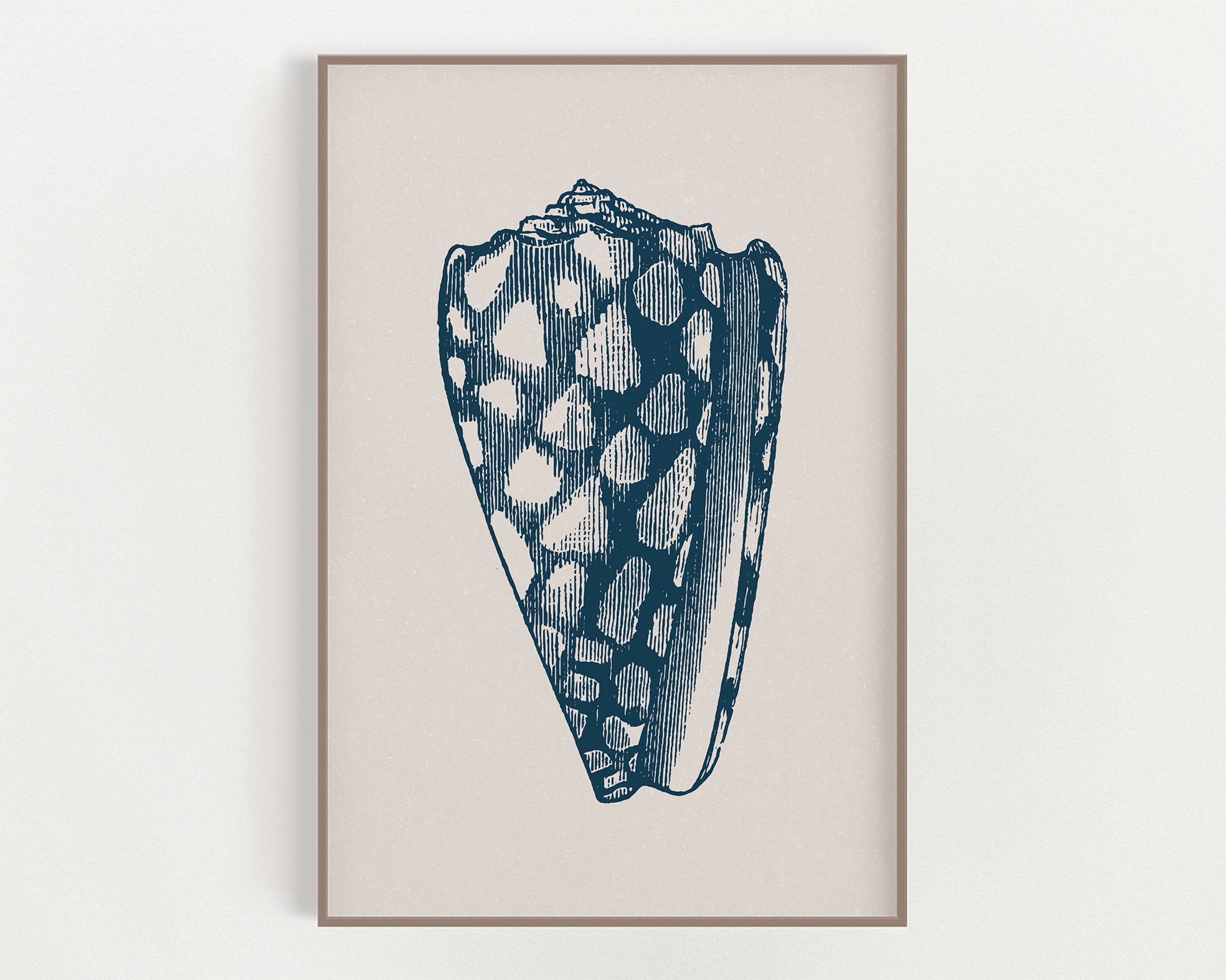 Vintage Seashell Print Coastal Nautical Beach House Decor - Etsy