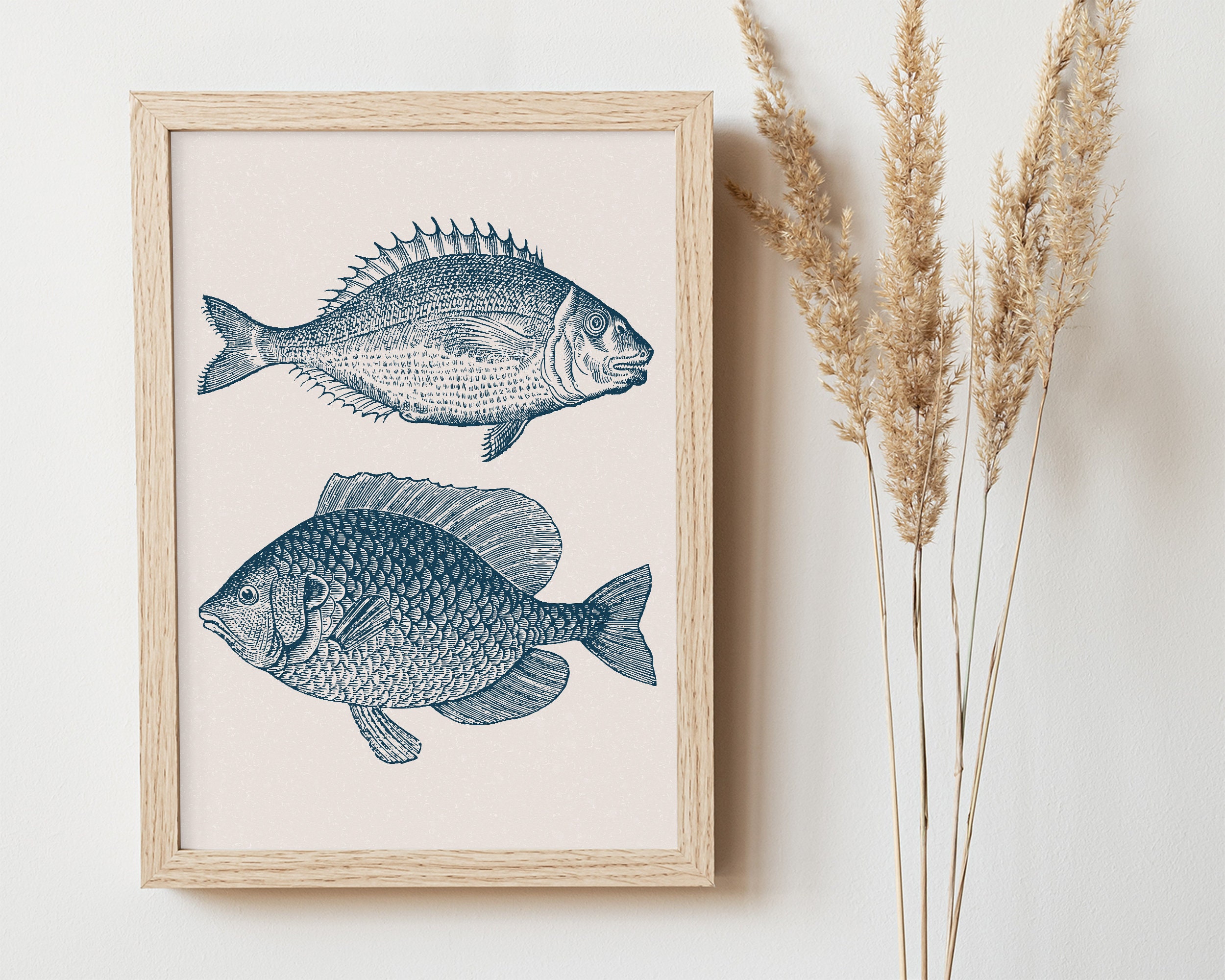 Vintage Fish Print - Fishing Wall Art - Coastal Wall Art - Beach House ...