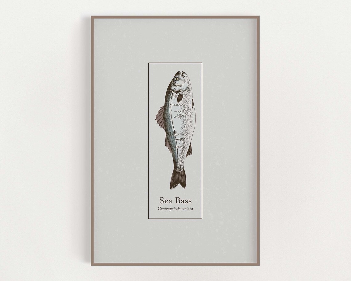 Sea Bass Print Gone Fishing Art Fisherman Gift Black Sea Bass Fish Art ...