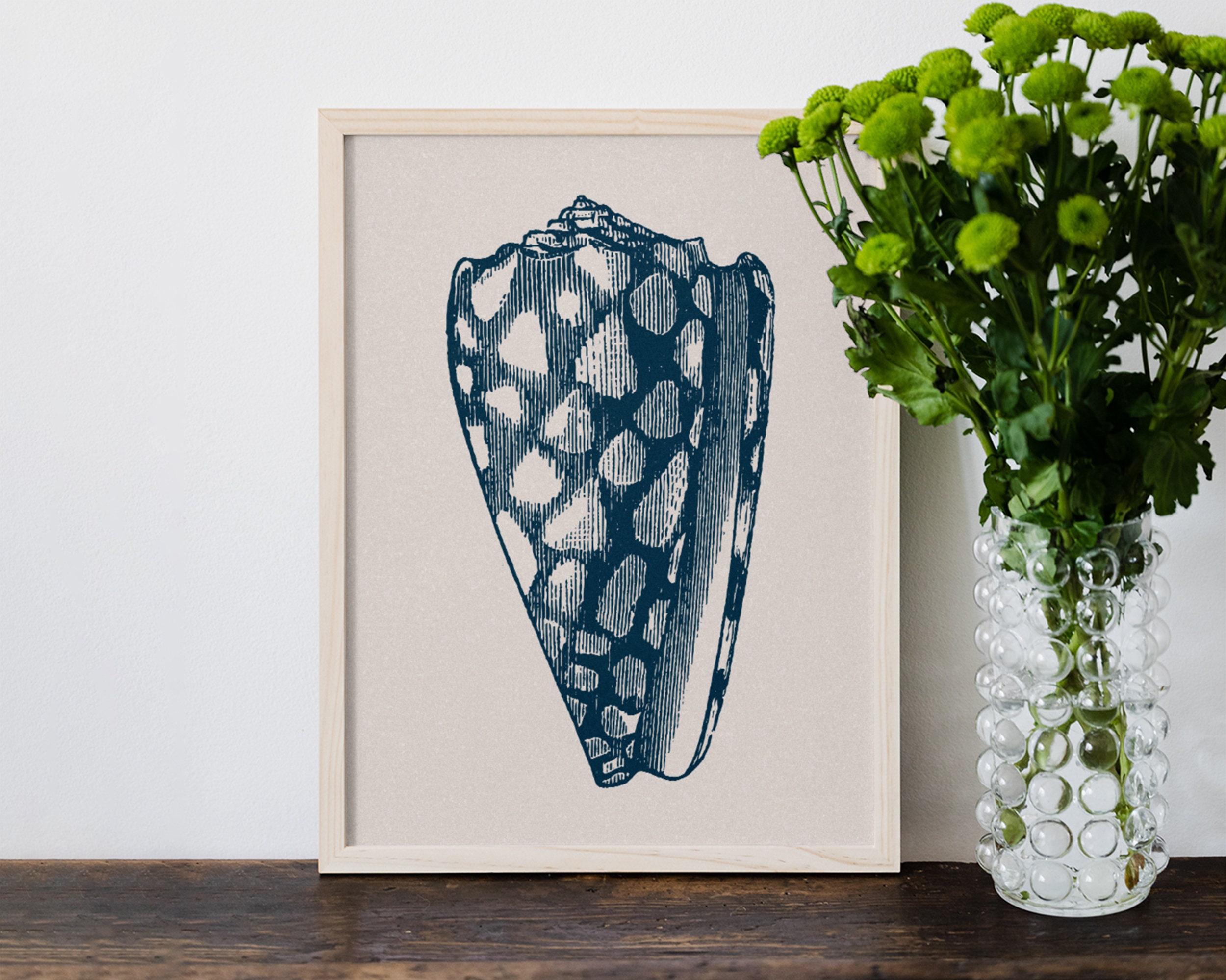 Vintage Seashell Print Coastal Nautical Beach House Decor - Etsy