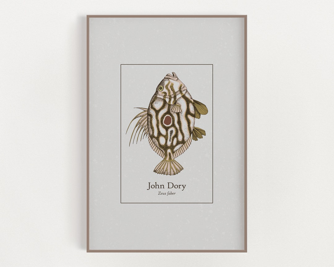 John Dory Fishing - John Dory Wall Art - Kitchen Wall Art - Seafood ...