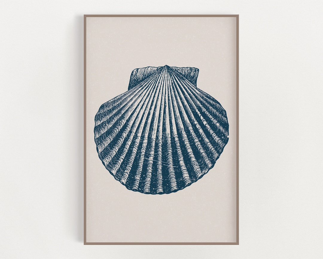 Clam Shell Print - Coastal Wall Art - Beach House Decor - Coastal ...