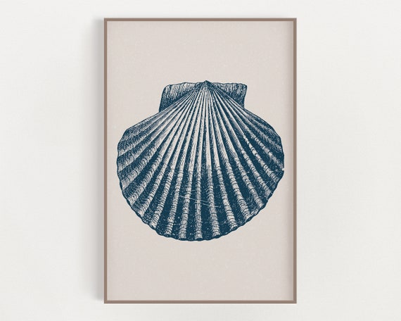 Clam Shell Print Coastal Wall Art Beach House Decor - Etsy