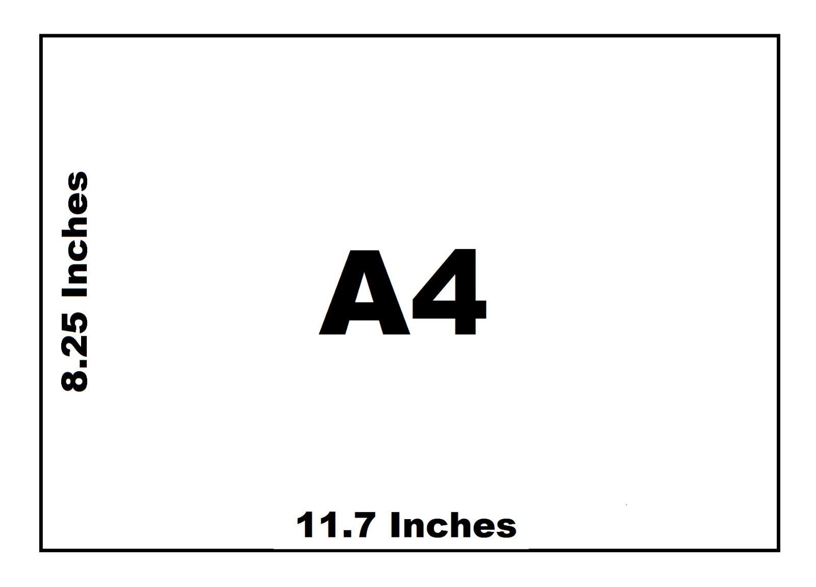 Chelsea FIFA Club World Cup 2025 Champions Poster Print Souvenir Gift ...