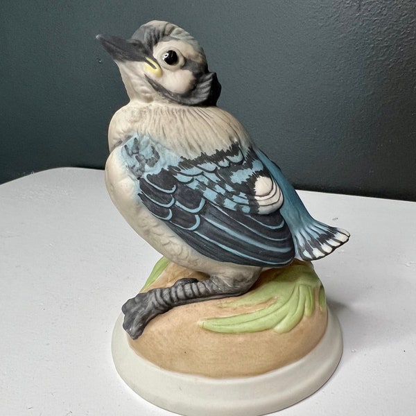 Baby Blue Jay - Etsy