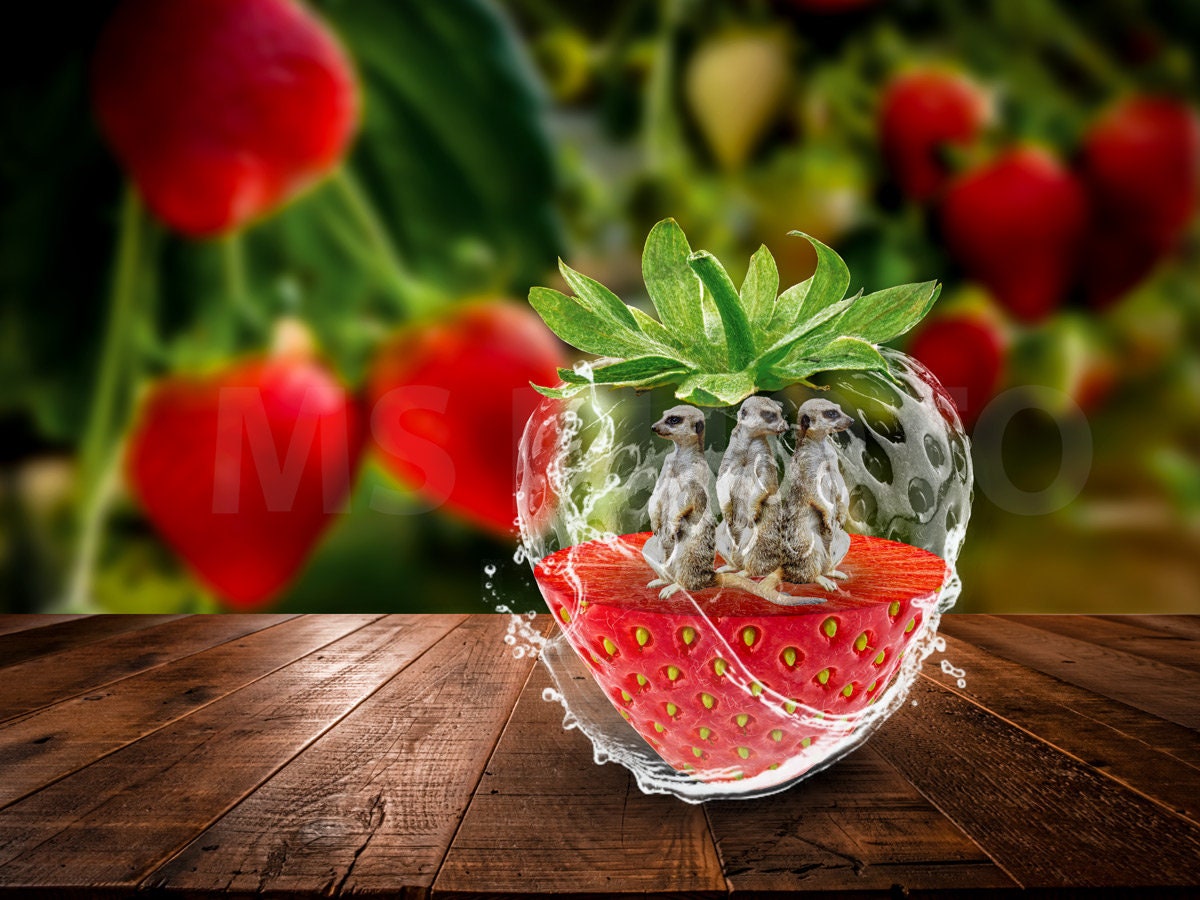 Surrealistic, Fruit, Strawberry, Photo Manipulation, Transparency, JPEG ...