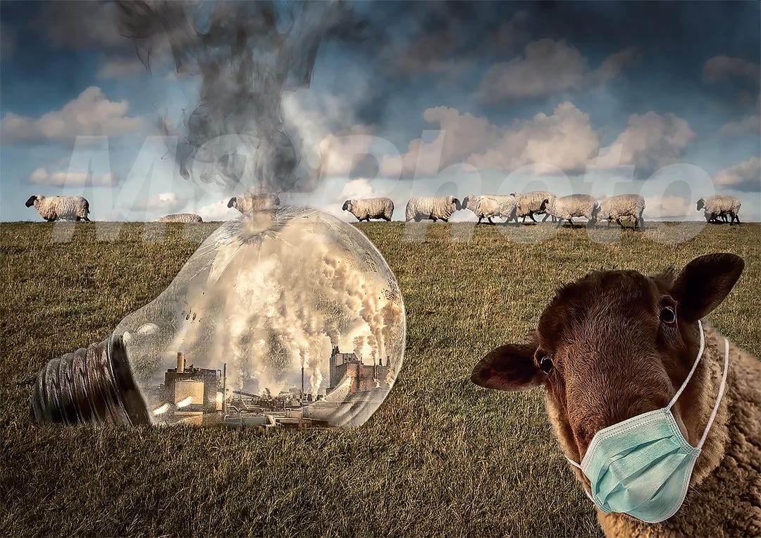 Surreal Environmental Art Print – Pollution & Masked Sheep – Eco ...