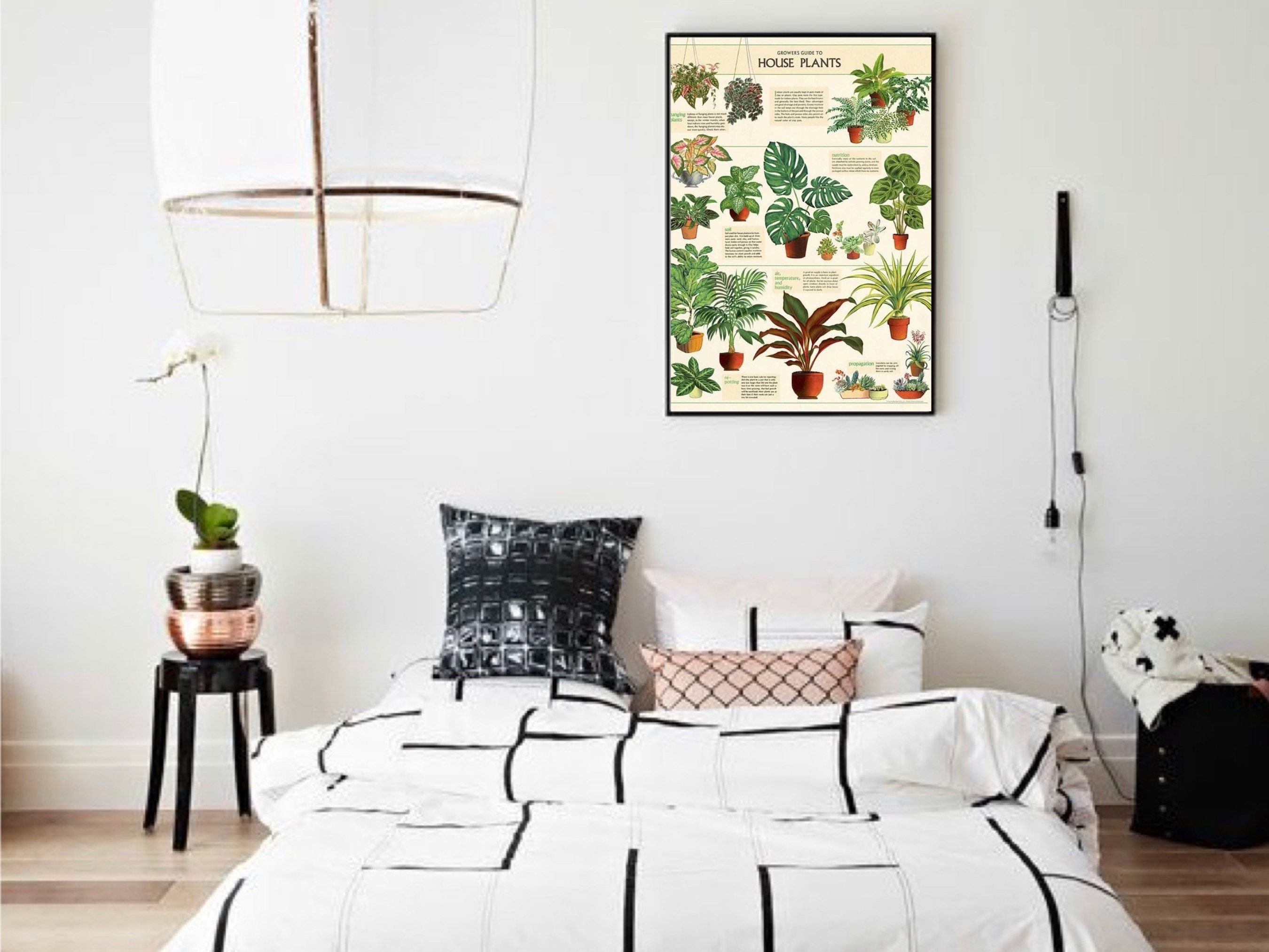House Plant Poster 20x28 Plant Lover Poster Vintage | Etsy