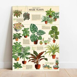 House Plant Poster “20x28”| Plant Lover Poster| Vintage Poster| Paper ...