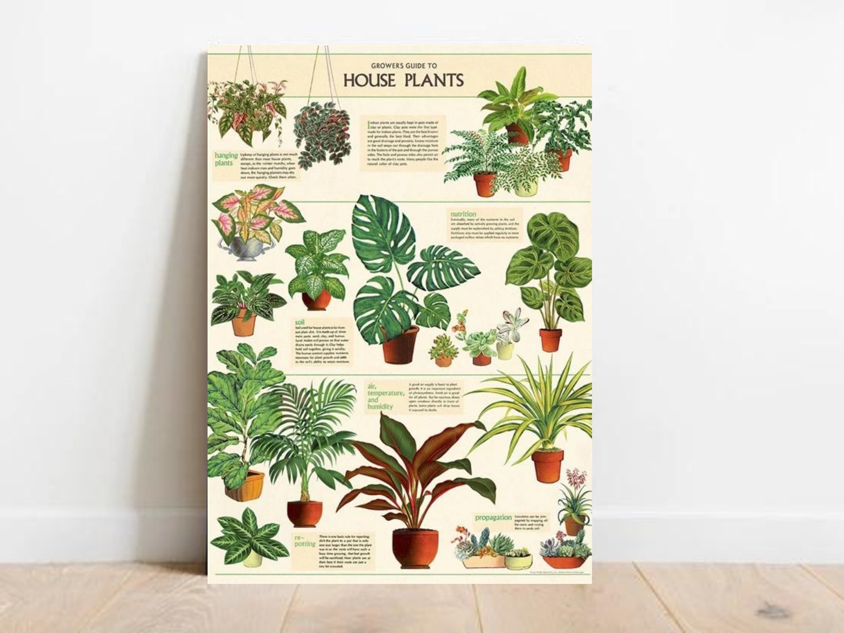 House Plant Poster 20x28 Plant Lover Poster Vintage | Etsy