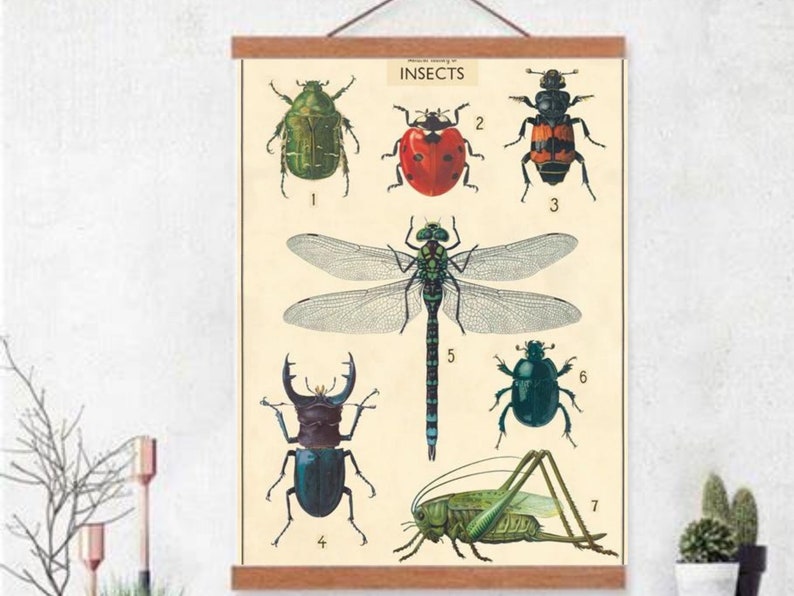 Insects 20 X 28 Poster Large Posterquality Postervintage Posterwall ...
