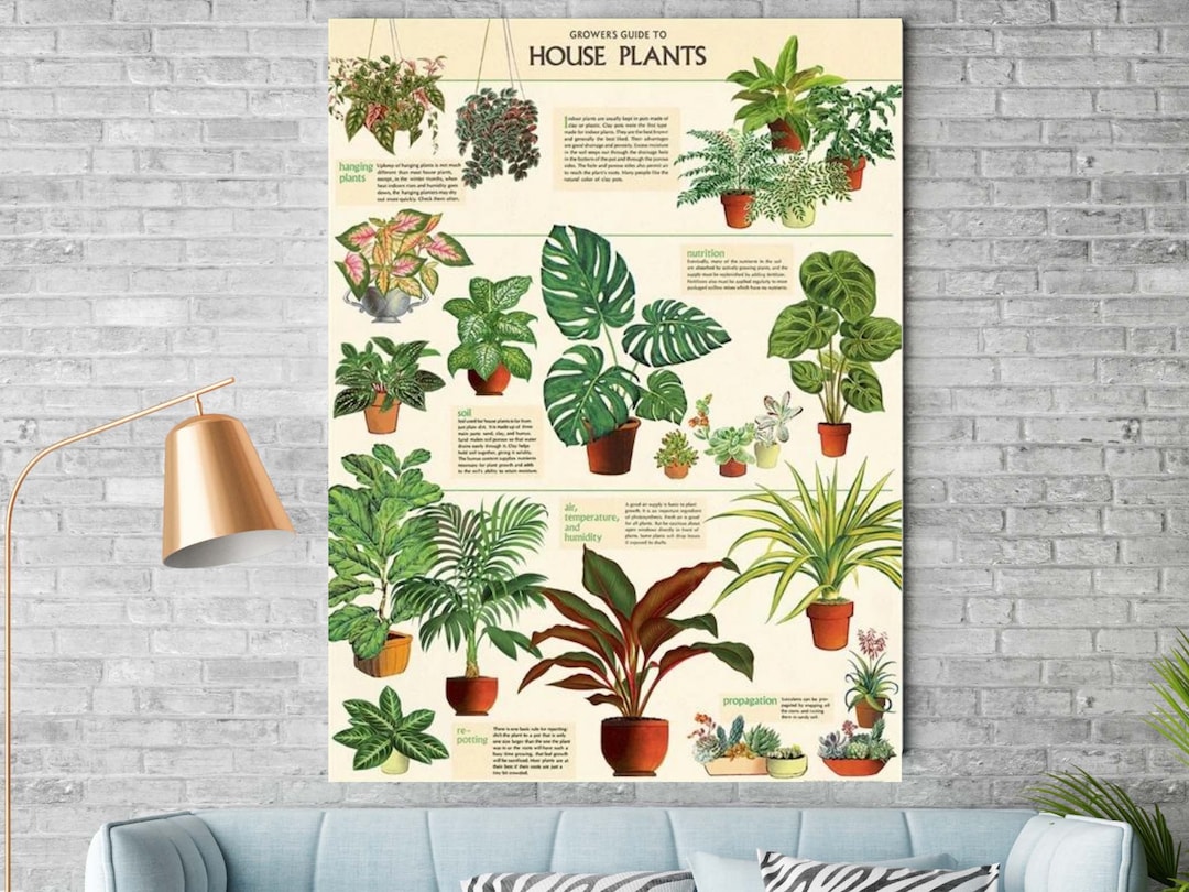 House Plant Poster “20x28”| Plant Lover Poster| Vintage Poster| Paper ...