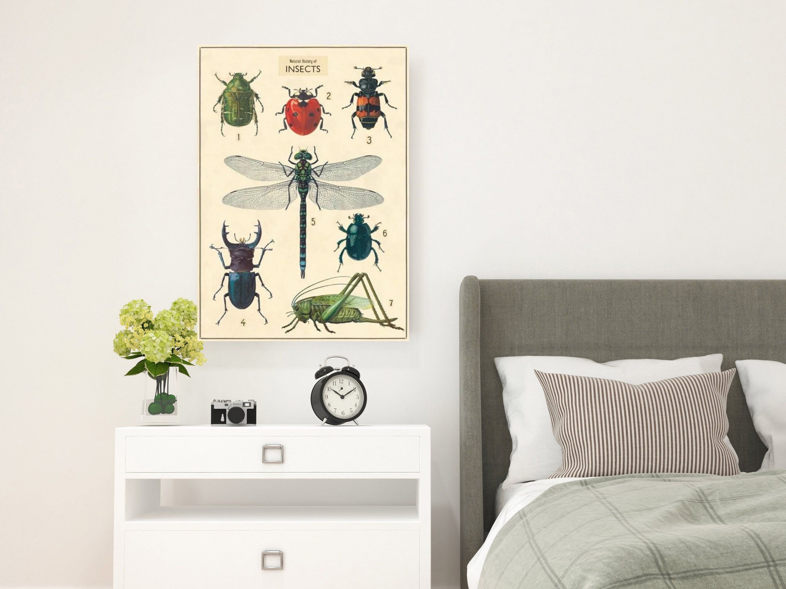 Insects “20 X 28” Poster| Large Poster|quality Poster|vintage Poster ...