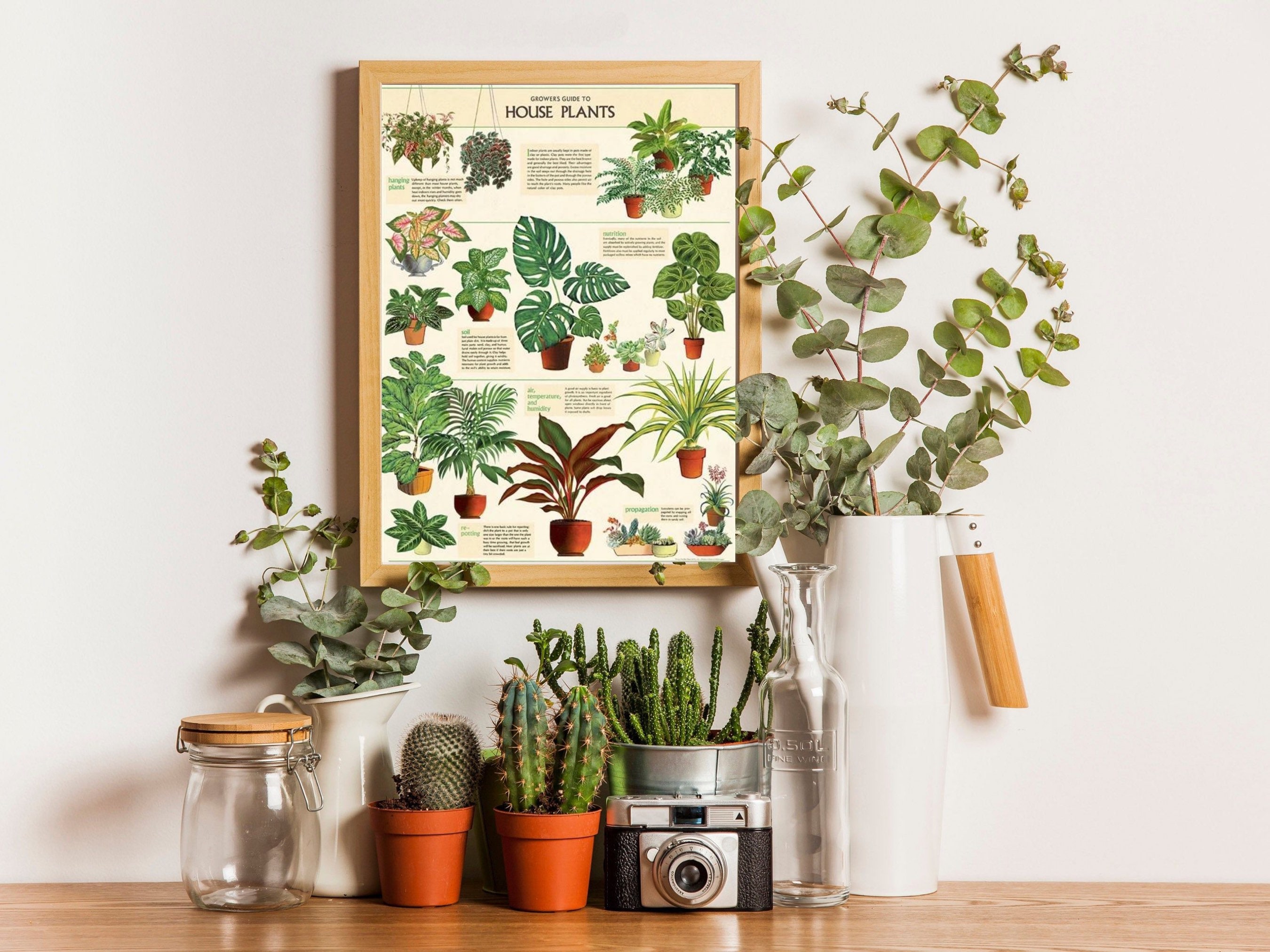 House Plant Poster 20x28 Plant Lover Poster Vintage | Etsy