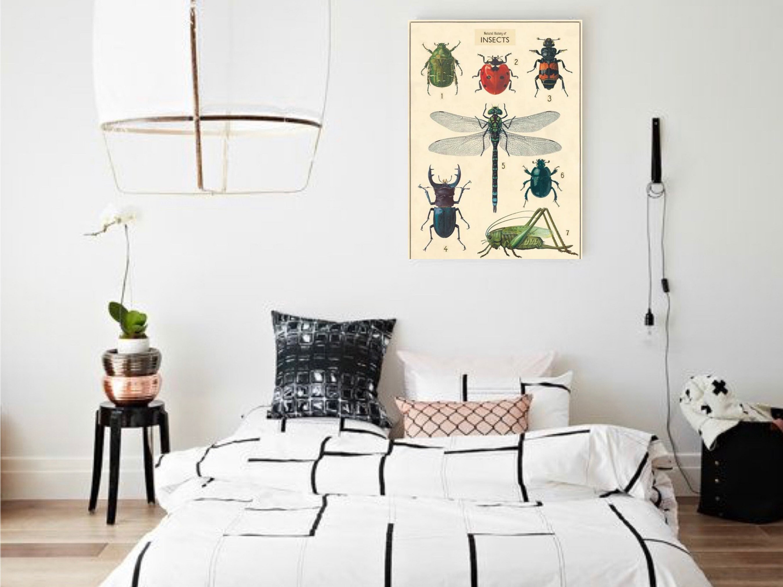 Insects “20 X 28” Poster| Large Poster|quality Poster|vintage Poster ...