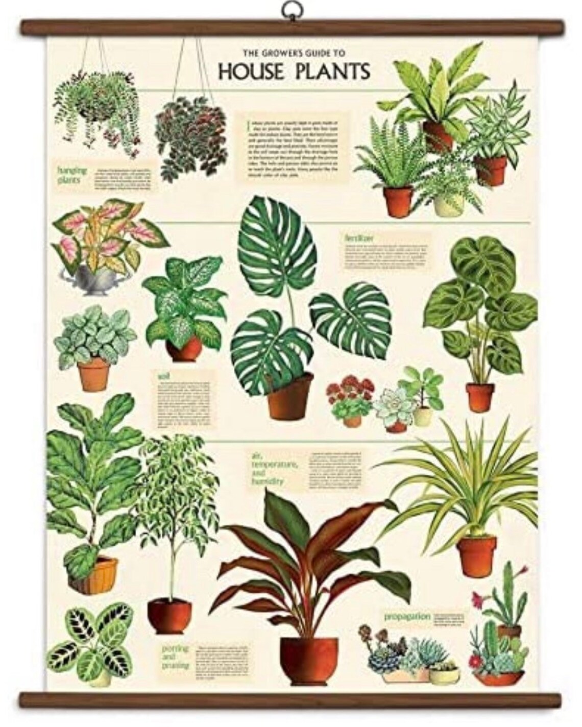House Plant Poster 20x28 Plant Lover Poster Vintage | Etsy