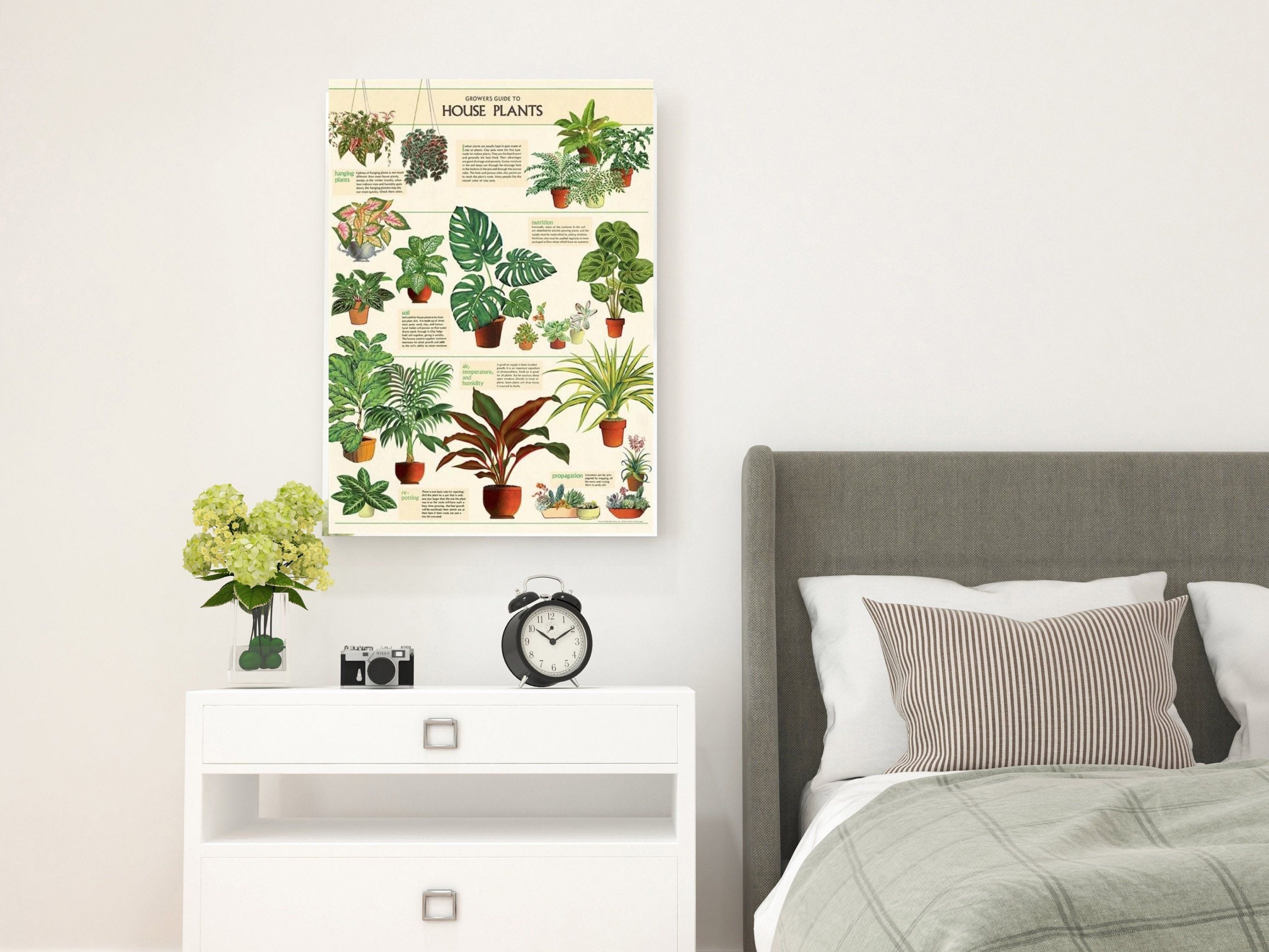 House Plant Poster 20x28 Plant Lover Poster Vintage | Etsy