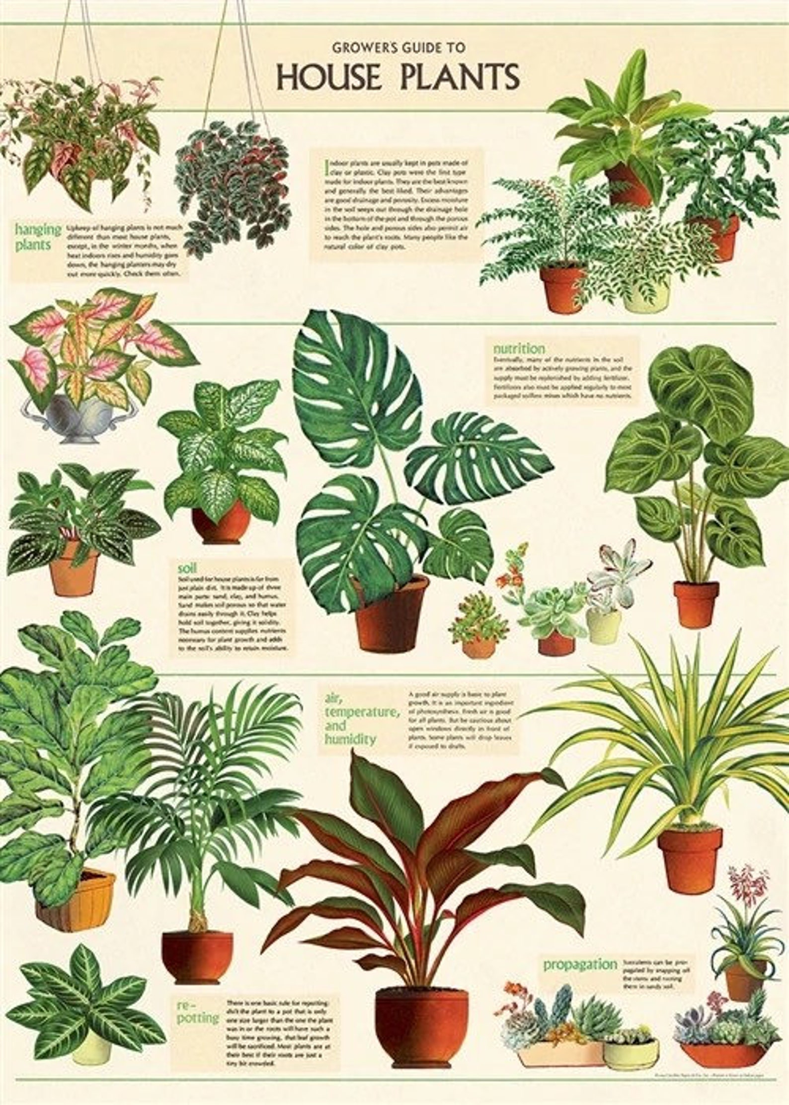 House Plant Poster 20x28 Plant Lover Poster Vintage | Etsy