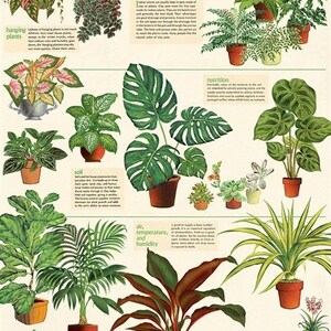 House Plant Poster “20x28”| Plant Lover Poster| Vintage Poster| Paper ...