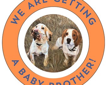 3x3 Circle STICKERS - Etsy