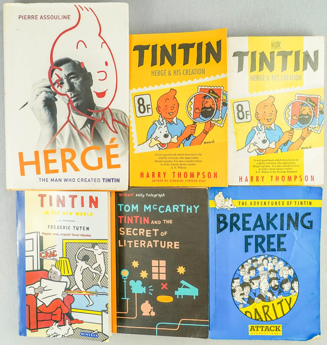 Factual Tintin/herge Book Collection X6 His Creation/breaking Free ...