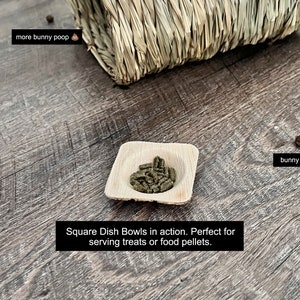 Edible 2" Square Bowls Natural Mini 2" Square Bowl Palm Leaf Bowl ...