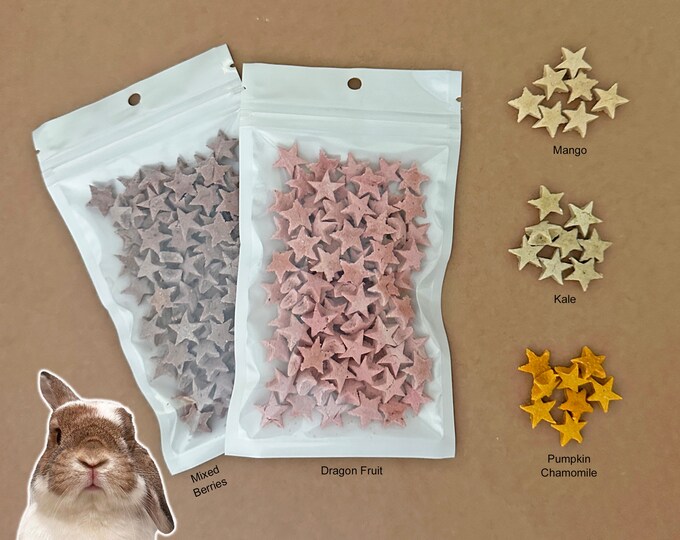 Gourmet Mini Donut Treats for Rabbits | Quality Treats for Rabbits ...