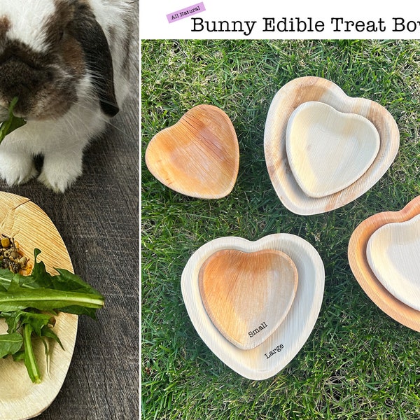 Rabbit Plate - Etsy
